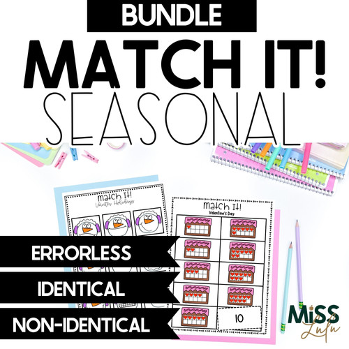 Seasonal Matching Activities Bundle for Special Education | Miss Lulu