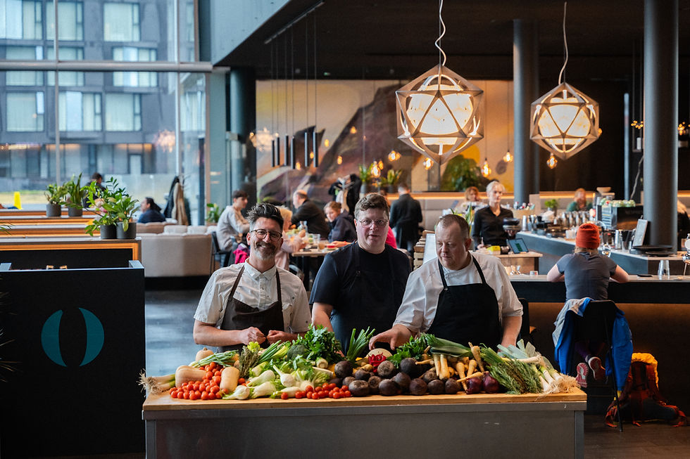 Hnoss Bistro | kvöldverður fyrir tónleika í Hörpu | Harpa Concert Hall ...