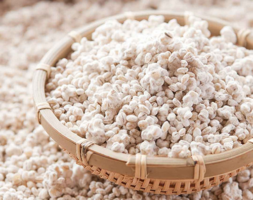 Handcrafted Premium Organic Koji Rice (Starter) 500g -Fresh | FermenStation