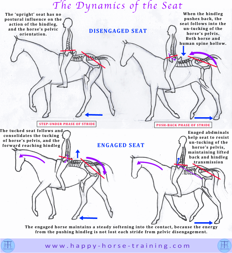 The 7-Point Seat: A Rider’s Guide to Understanding, Feeling, and Using ...