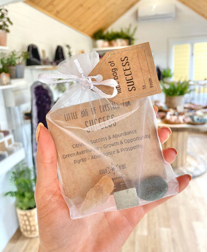 Little Bag of Success | High Vibe Alignment