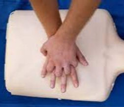 Courses | Premier Training