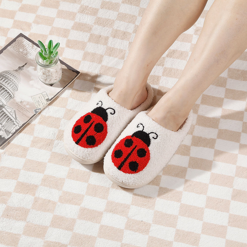 Ladybug Illustrated Comfort Cozy Plush Fluffy Fur Slip On Cushion ...