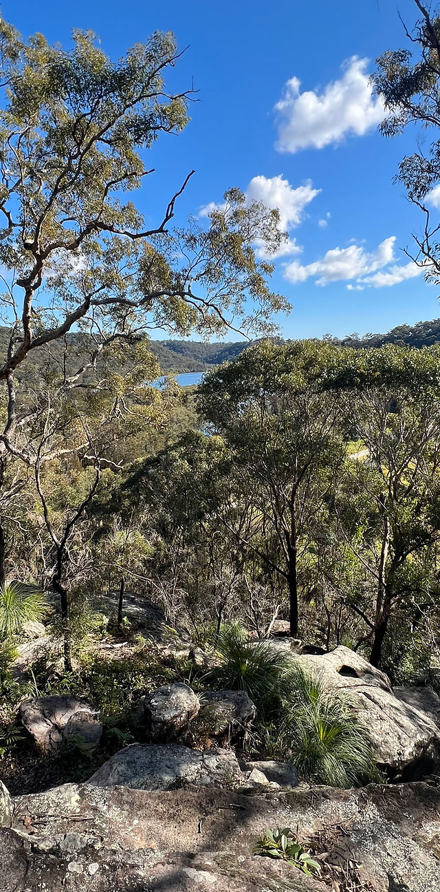 moonrise festival 2024 jannali