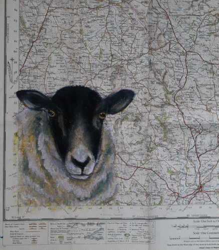 Sheep Map | Frances Daunt