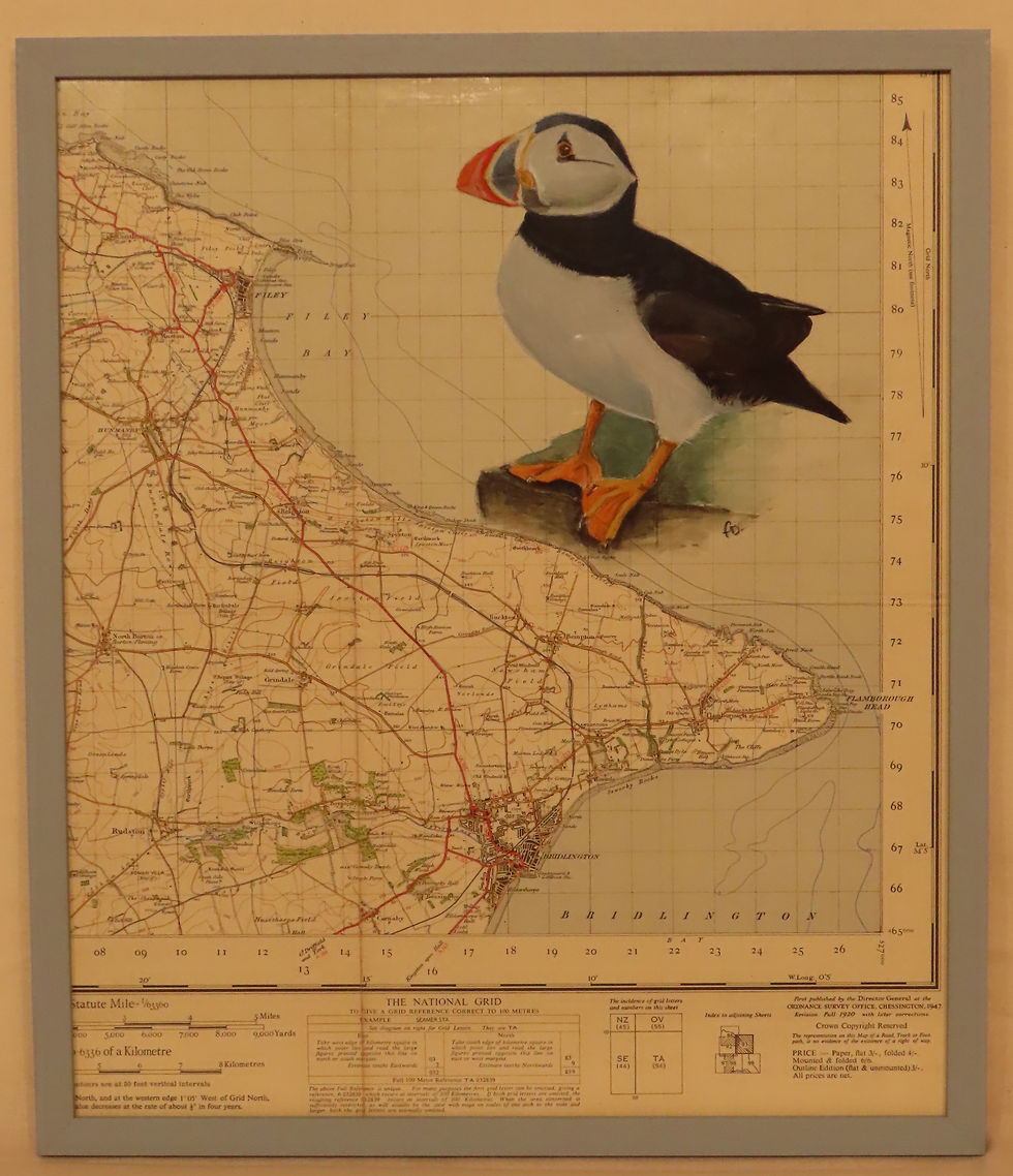 Puffin 1947 Map | Frances Daunt
