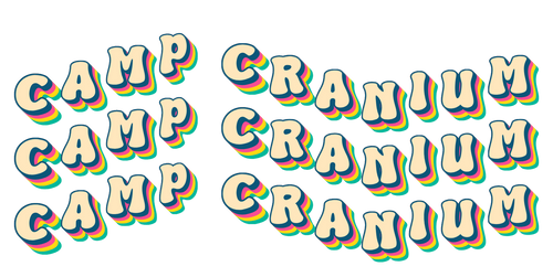 Camp Cranium 2024 | LE3 INC