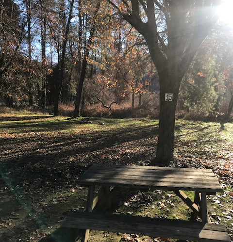 Camping | Trinity Adventure Park | United States