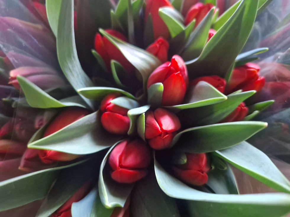 Budapest Flower, virág műhely