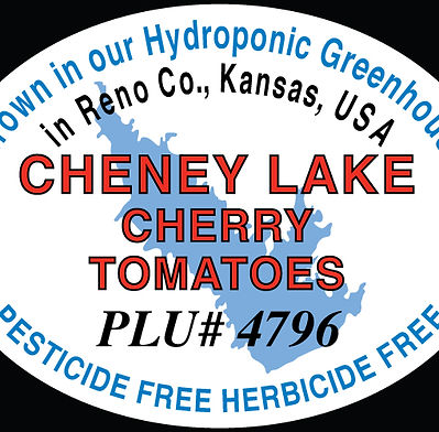 Cheney Lake Tomatoes