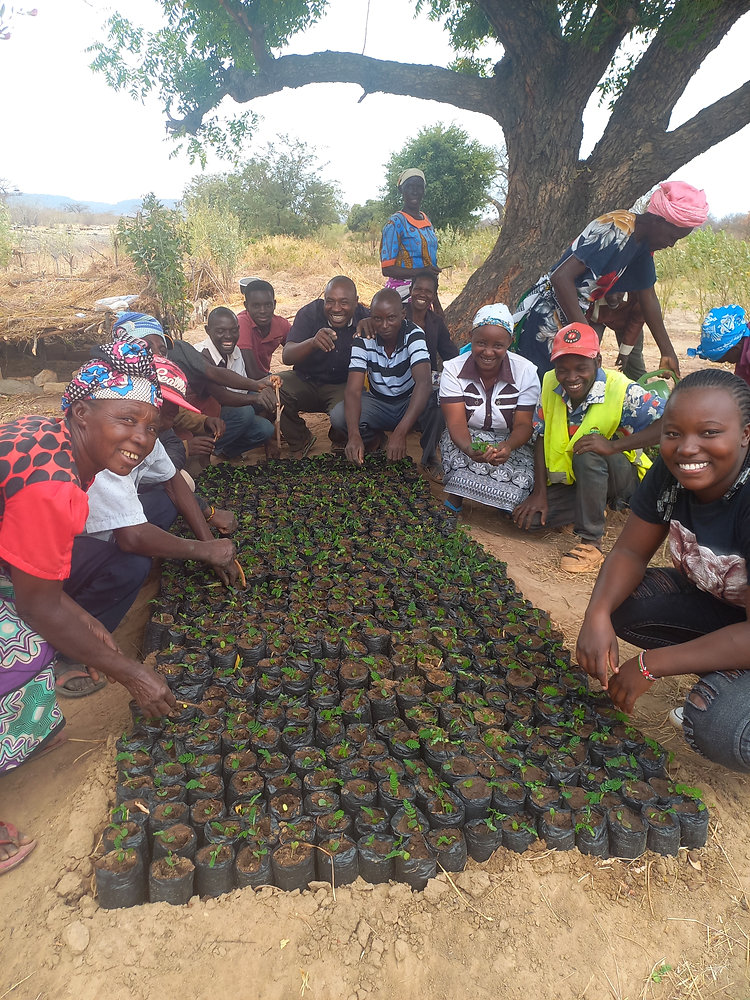 THE SCHOOL GARDEN PROJECT ( TREE PLANTING PROGRAMME)🌿