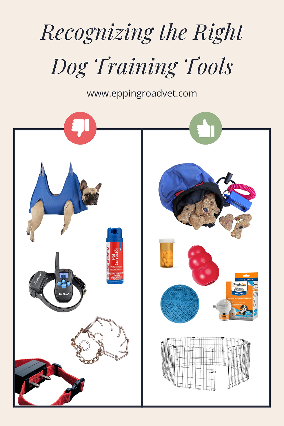 A Practical Guide to Choosing the Right Dog Trainer