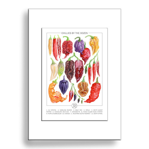 "Chillies by the dozen" A3 print | My Site