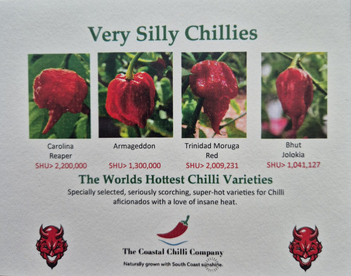 Chilli Seed Collection - Very Silly Chillies | The Coastal Chilli Company