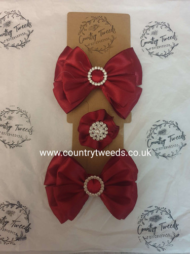 Red showing bow and buttonhole set-with or without tails | My Site