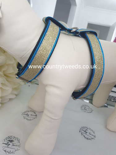 Blue and glitter gold harnesses | My Site