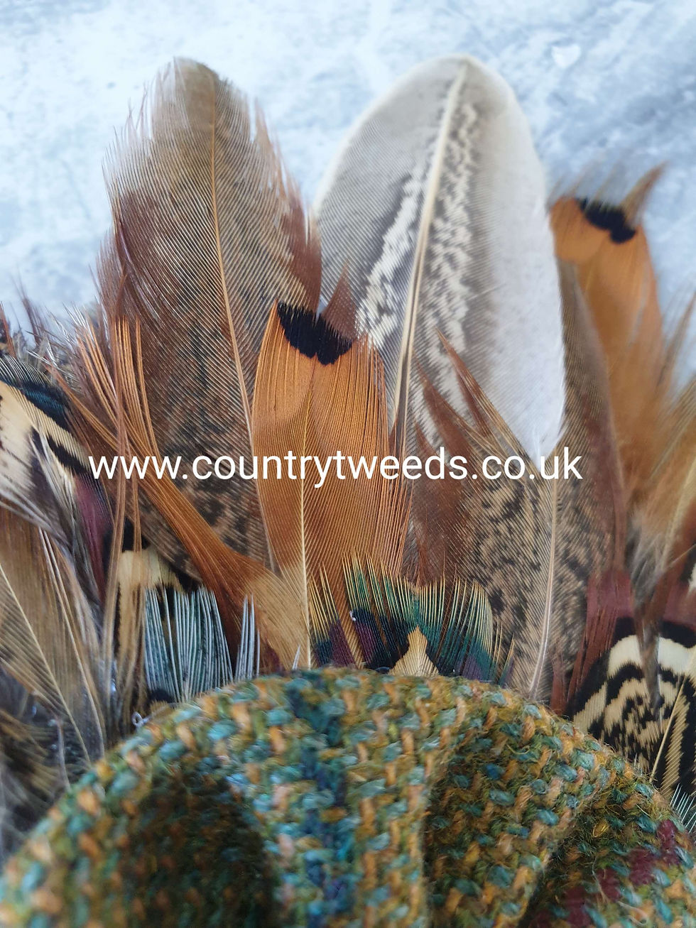 Show Jackets | Country Tweeds | England 2/4