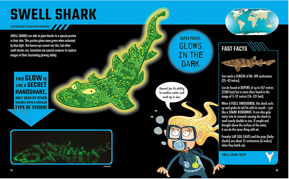 BOOKS | Sharks4kids New Work