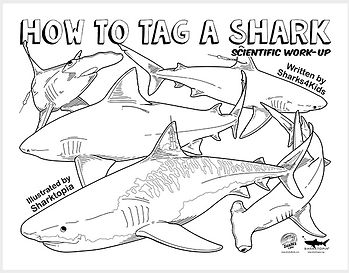 Sharks4Kids Shark Education Activities & Worksheets