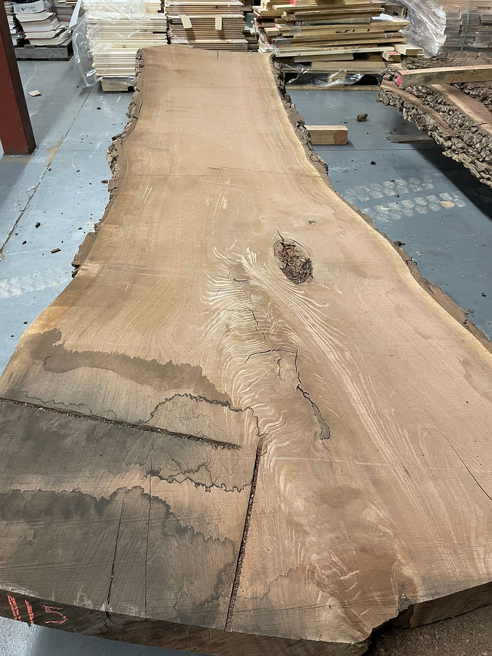 Lumber Producer | Renneberg Hardwoods | Minnesota