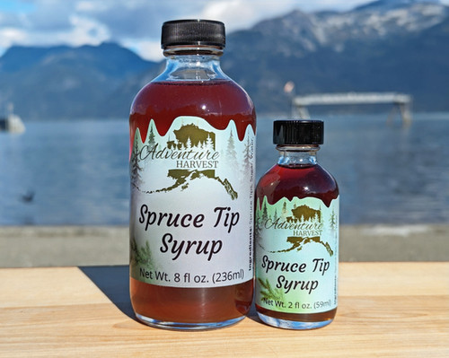 Spruce Tip Syrup | Adventure Harvest