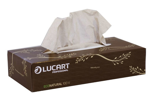 ECO Facial Tissues x40 | Hygenitec
