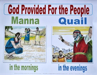 Family Activities Moses and Manna
