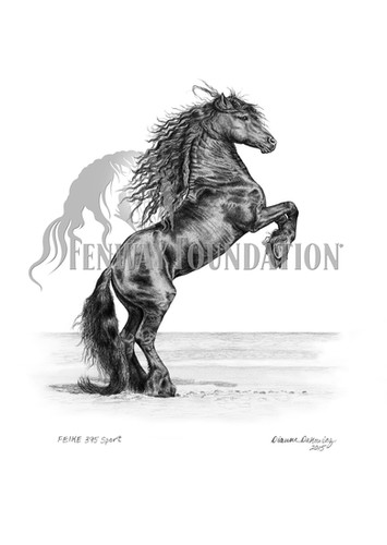 Feike 395 Limited Edition Print | Fenway Foundation