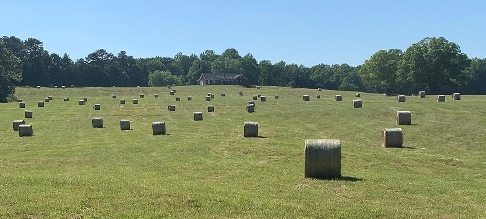 Farmer | SLC Farms | United States