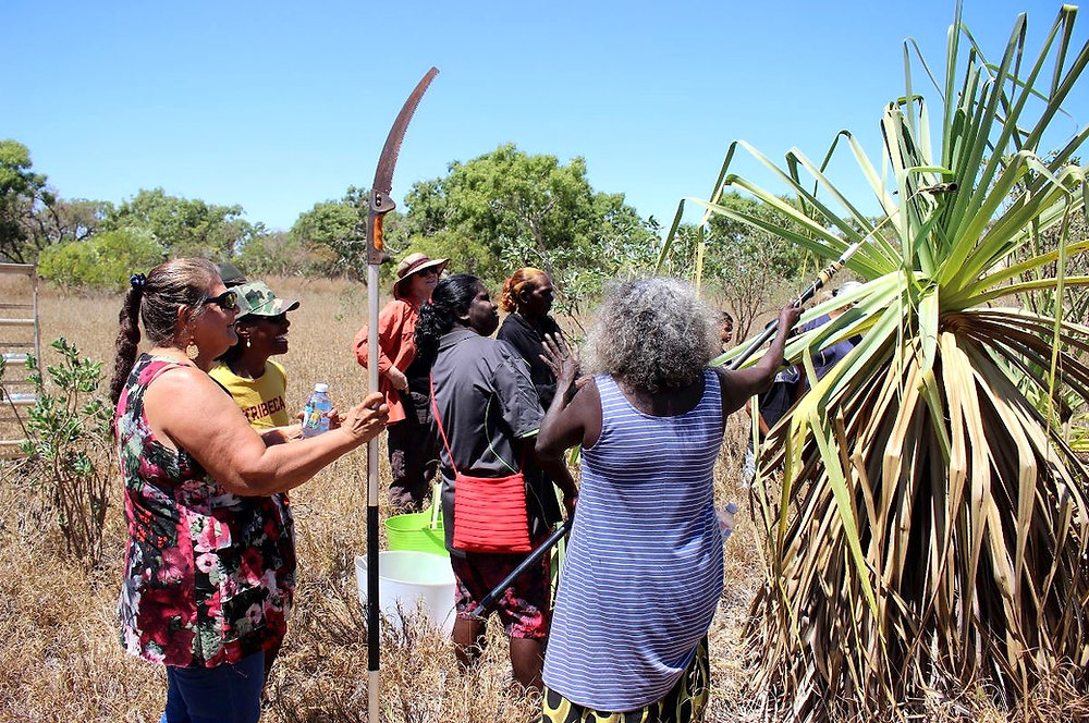 Pandanis weaving workshop coordinated by Pat Torres from Mayi Harvests.