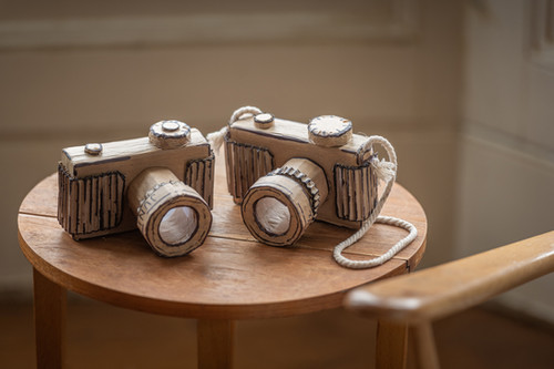 Create a Camera! | Cardboard Adventures