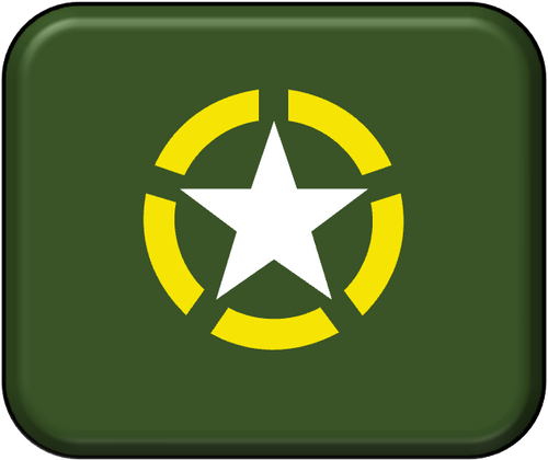 WWII USA white star in broken yellow circle markings -Small ...