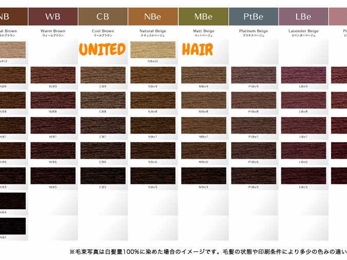 (需另配雙氧奶)SHISEIDO PRIMIENCE COLOR | united-hair-shop