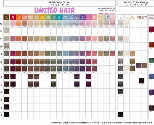 (需另配雙氧奶)SHISEIDO PRIMIENCE COLOR