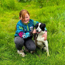 Dogs for Adoption | Kerry Animal Rescue | Klaws | Kenmare