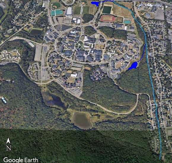 Vernal Pool Hike | Ciws