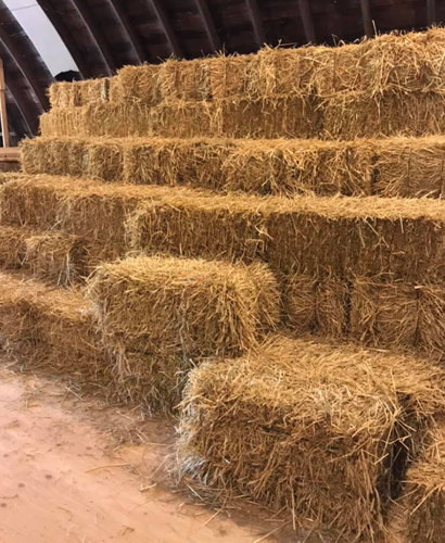 Rye Straw | Doyle's Farm