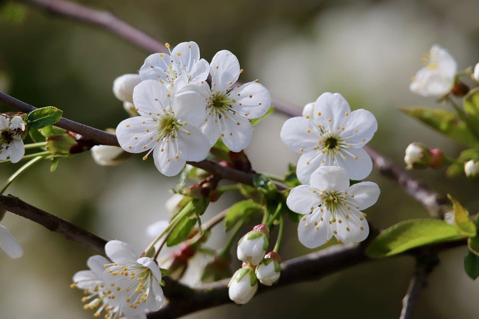 The Art of Redirection