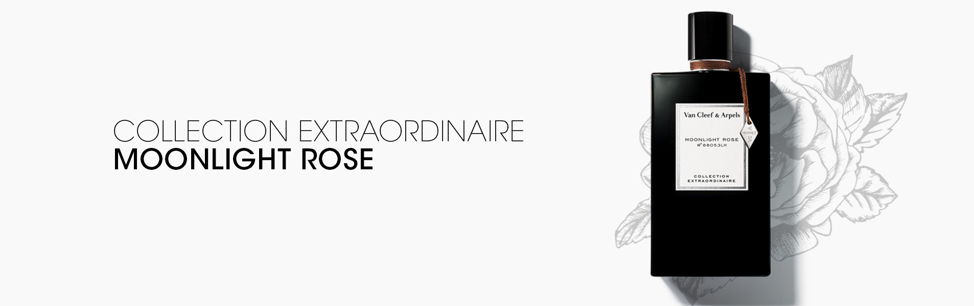 Interparfums | Fragrances | Moonlight Rose