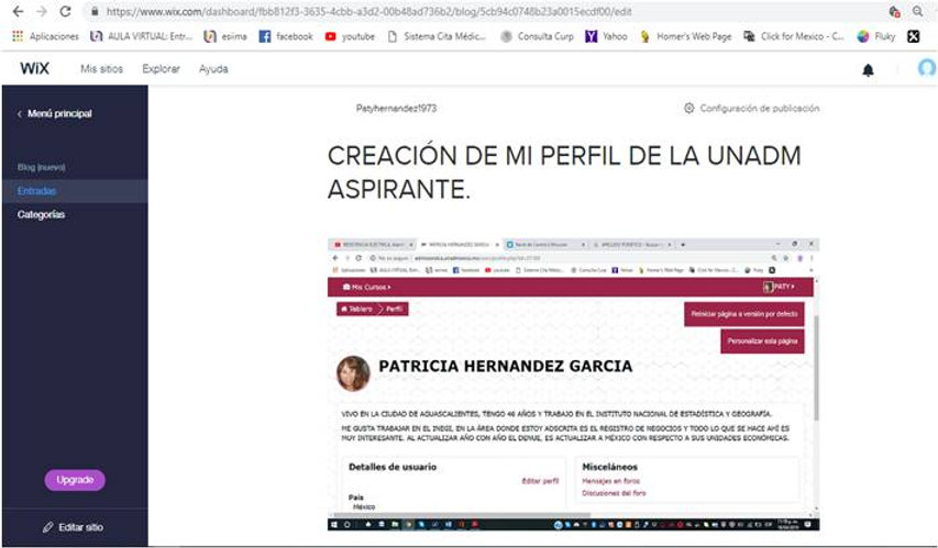 Creando Mi Blog
