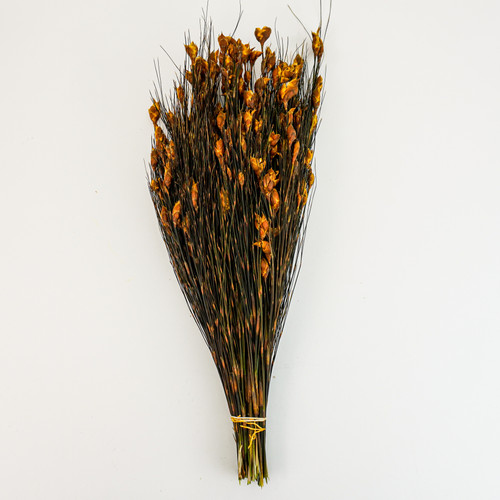 BELL GRASS WITH ASPEN PODS 23IN | Craftex