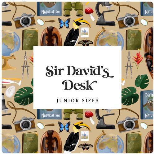Sir David's Desk (Age 6+) | Little Fox Tots
