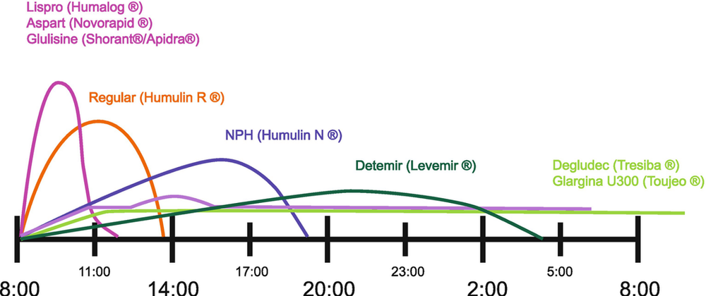 Timing your insulin for meals