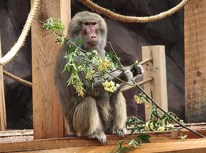 Capital City Lake Murray Country region a top Southern Destination of 2021