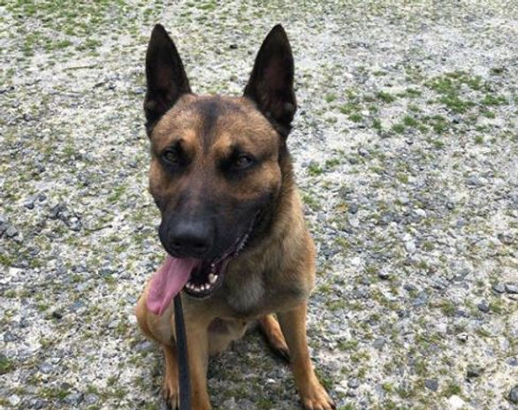 Pine Ridge Police Department puts K-9 into service