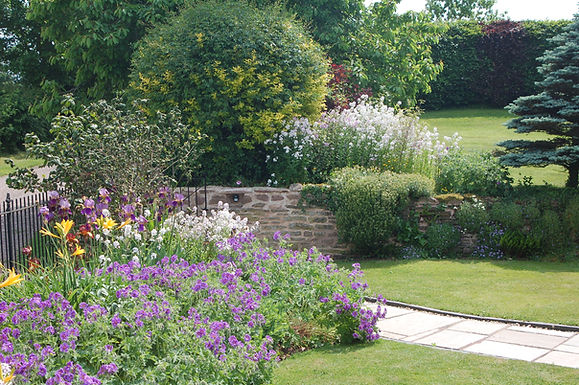 Wildflowers | Neil Rudge Creative Gardens | Falmouth