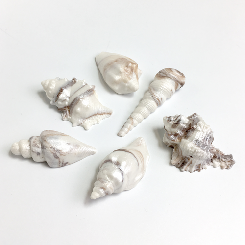 Making of: The Weeknd's birthday cake! | Custom cakes by Delicious Arts ...