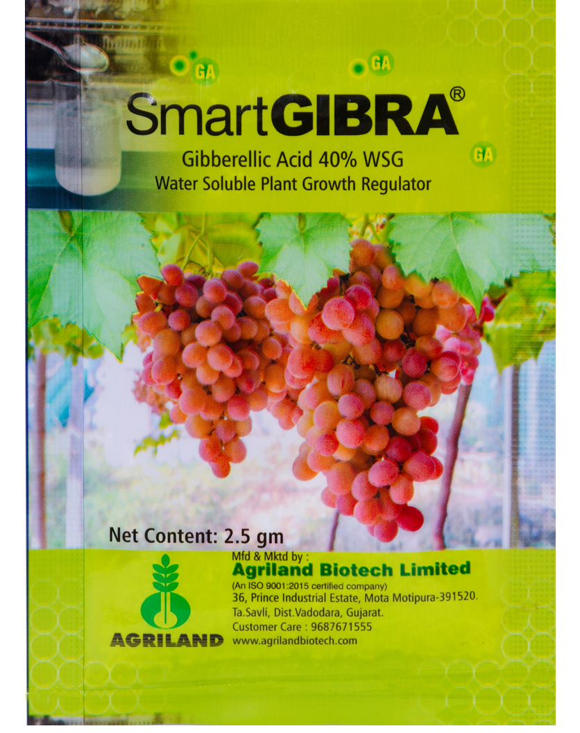 SmartGIBRA