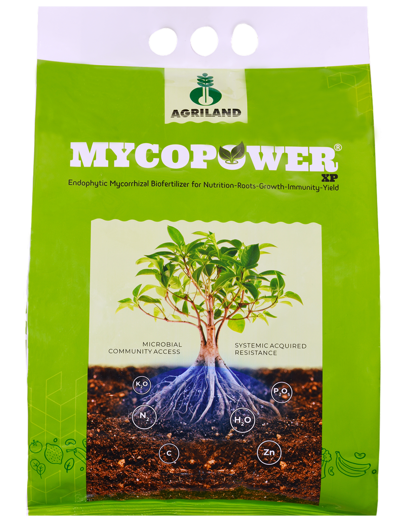 Mycopower XP