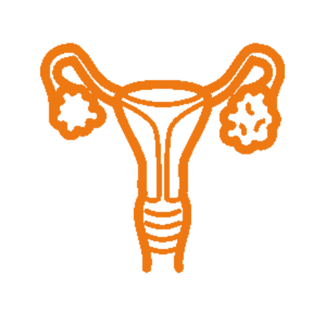 Gynecologic Oncology